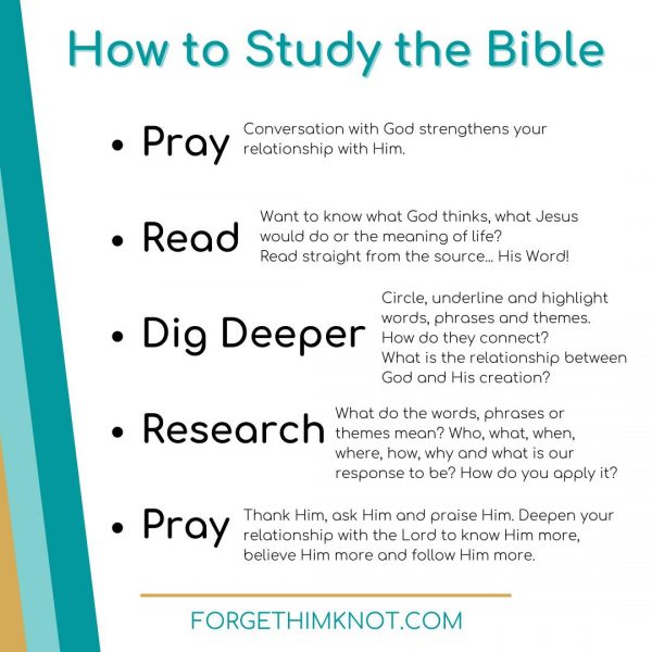 7 Easy Steps Bible Study for Beginners And Free Bible Lesson - Forget ...