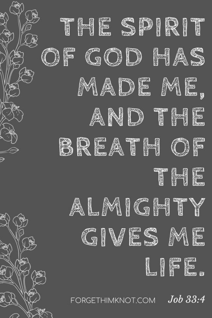 Job 33 4 KJV 4K Wallpaper The Spirit Of God Hath Made Me 42 OFF Job 33 4 KJV 4K Wallpaper The Spirit Of God Hath Made Me 42 OFF