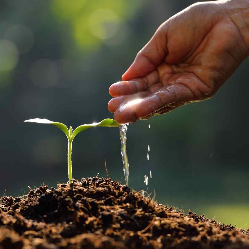 Bible Verses about Growing in Relationship with God - Forget Him Knot