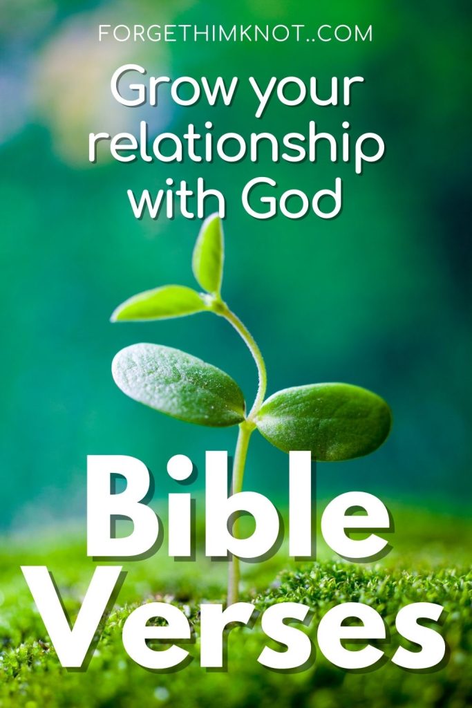 Bible Verses about Growing in Relationship with God - Forget Him Knot